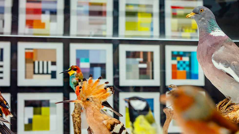 BLOCBIRDS – Paul&Albert